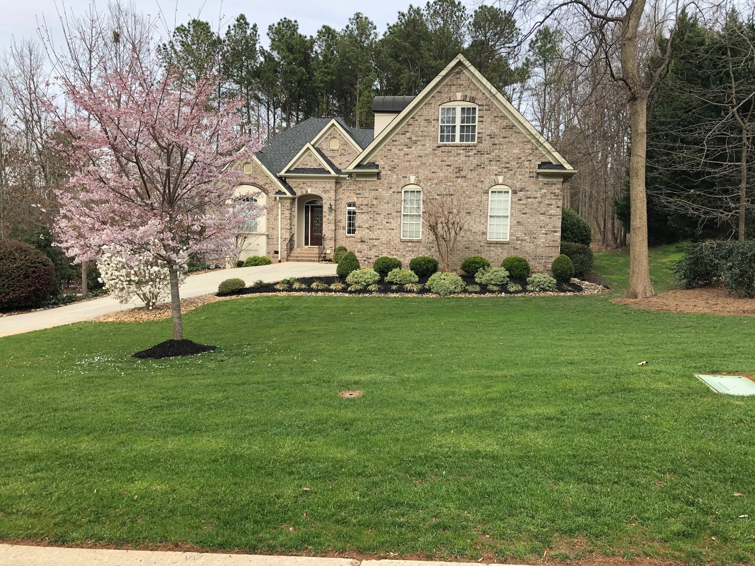 Alpha Omega Property Services